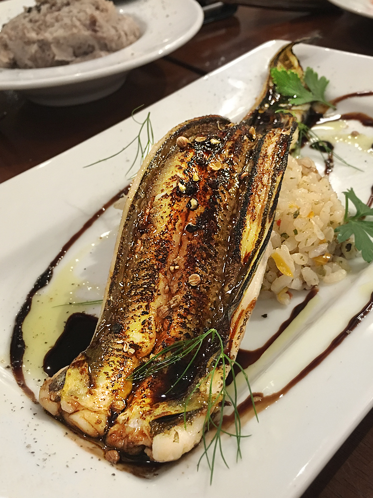 anago_meshi | 既婚者サークルMimosa東京